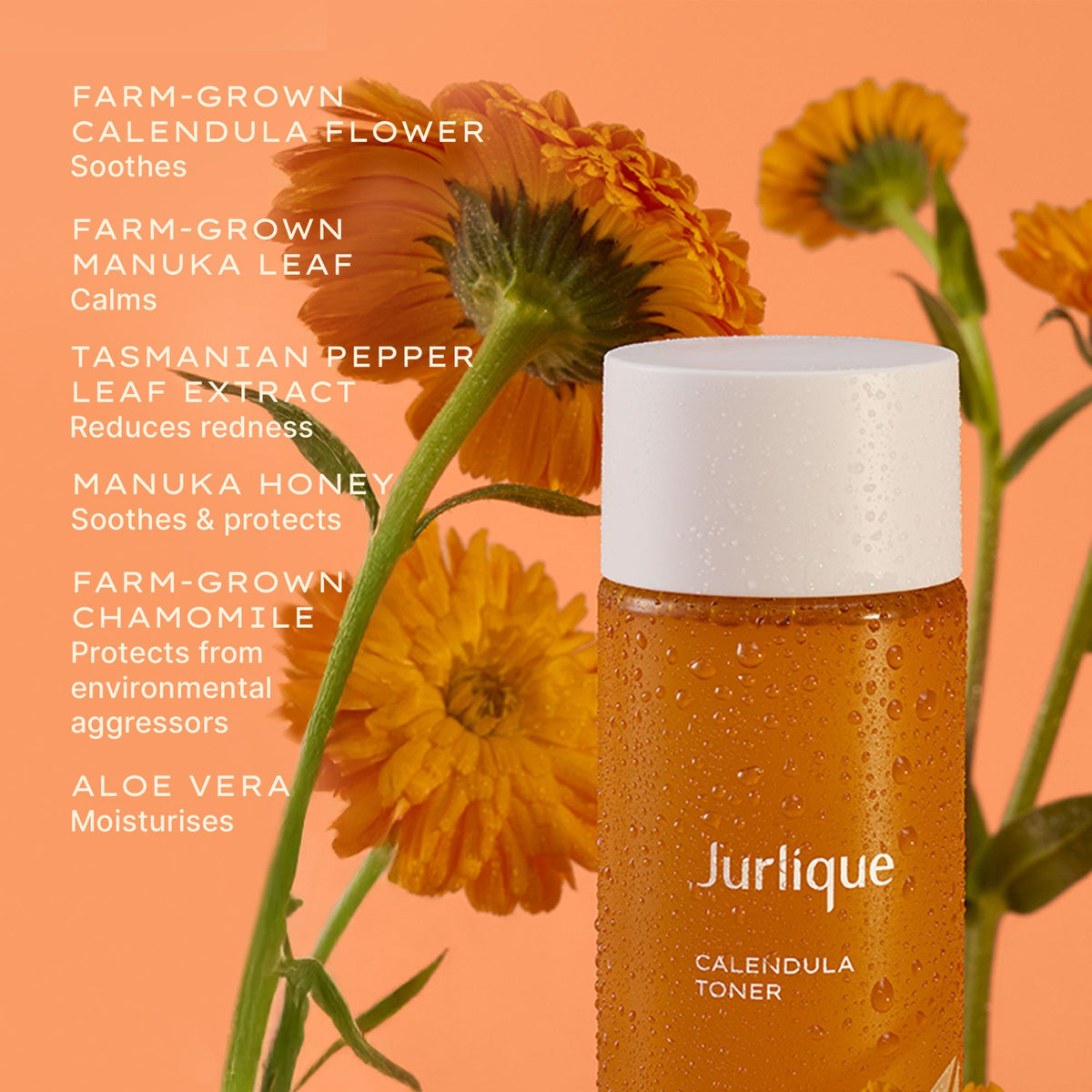 Jurlique Natural Skincare | Calendula Toner – Jurlique UK