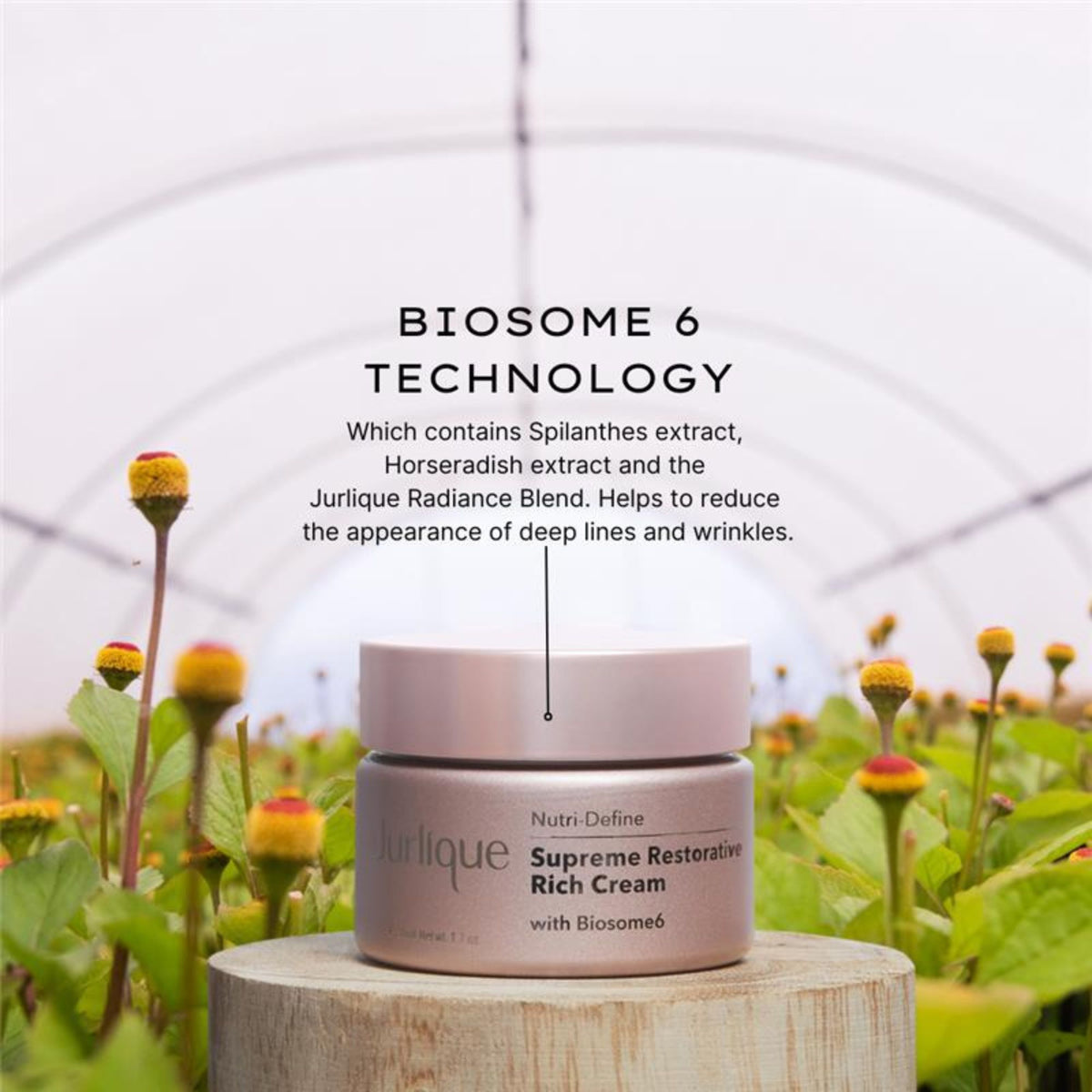 Nutri-Define Supreme Restoring Rich Cream – Jurlique UK